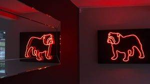 Neon Signs & Funky Lighting. Crafted in the UK