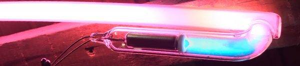 Neon Signs - A Master Guide - Carousel Lights